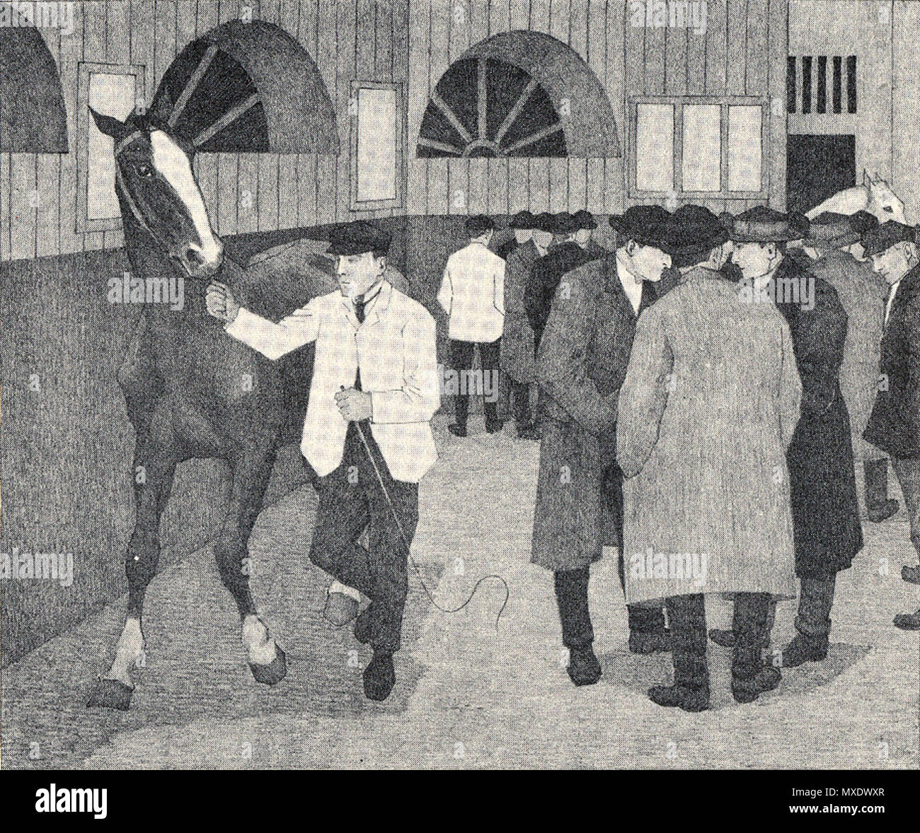 Robert bevan horse hi-res stock photography and images - Alamy