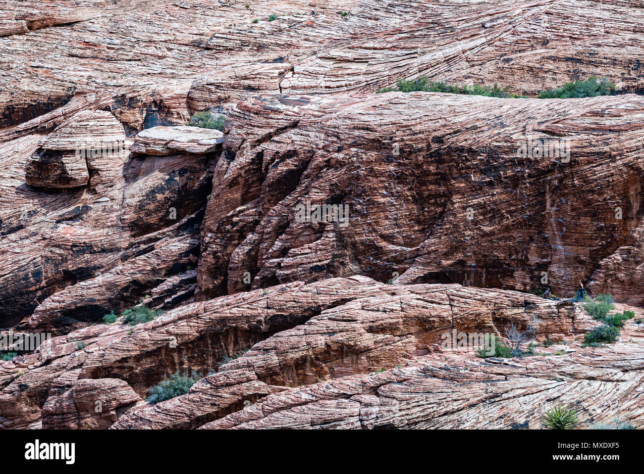 Red Rock Canyon National Conservation Area in Las Vegas Nevada USA ...