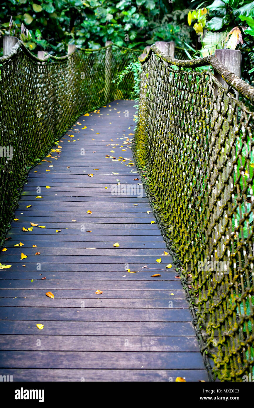 Wood boardwalk hiking trail hi-res stock photography and images - Alamy