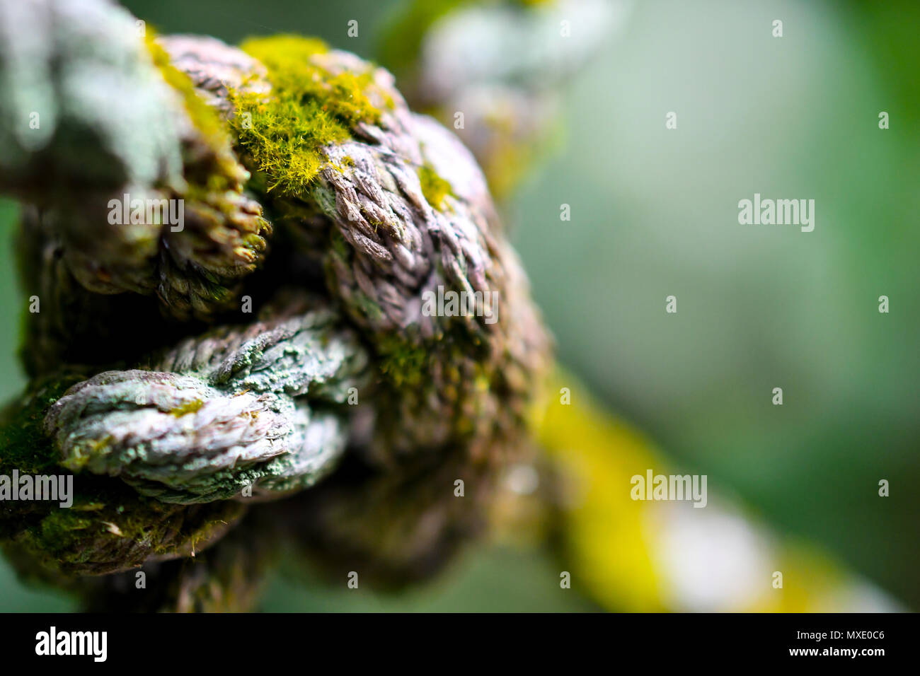 Rope texture knot hi-res stock photography and images - Alamy
