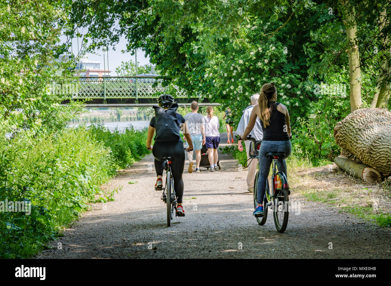 Bridge path walking walk hi-res stock photography and images - Alamy