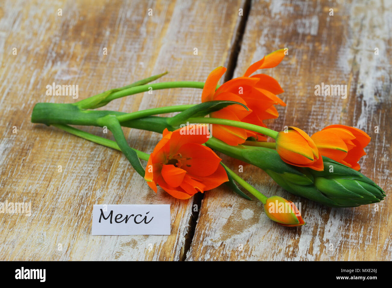 Merci (thank you in French) card with orange flowers on rustic wooden ...