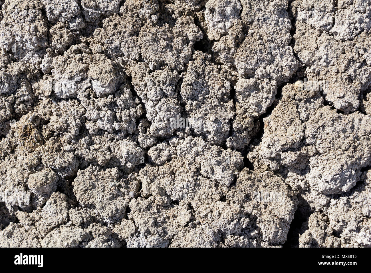 Calcareous sandy soil hi-res stock photography and images - Alamy