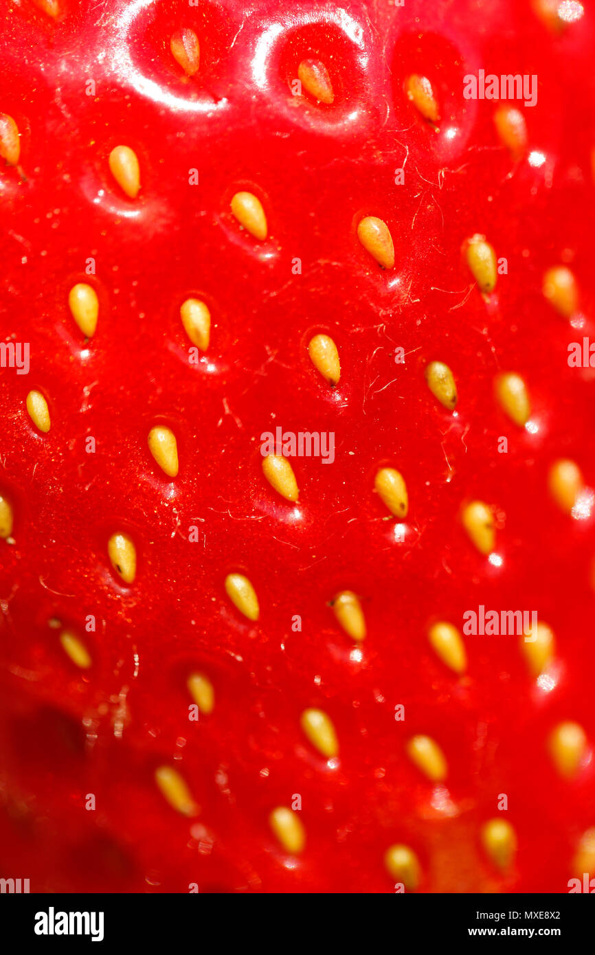 Strawberry seed closeup hi-res stock photography and images - Alamy