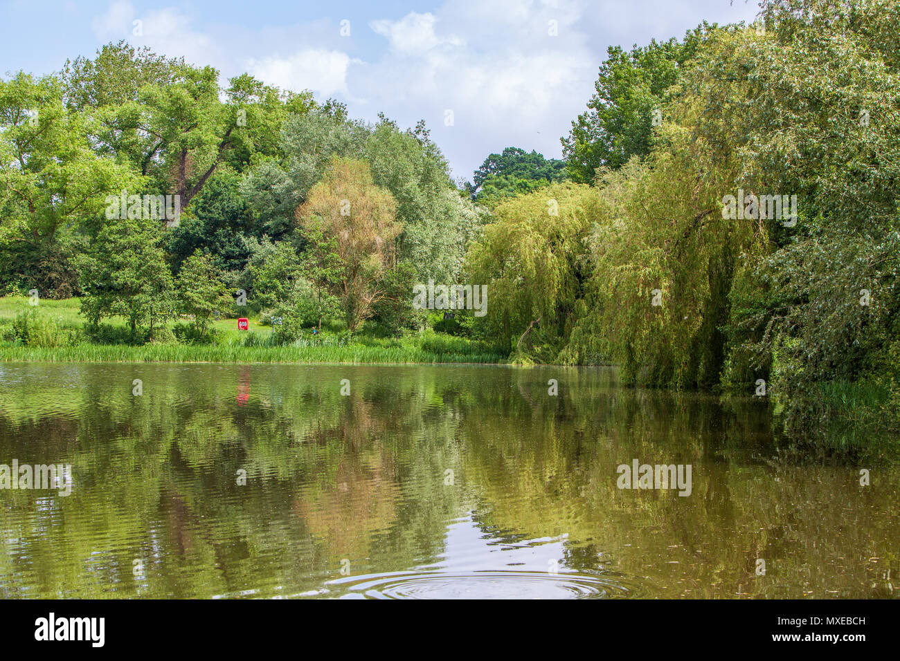 view of the lake and campus university of east anglia uea norwich Stock ...