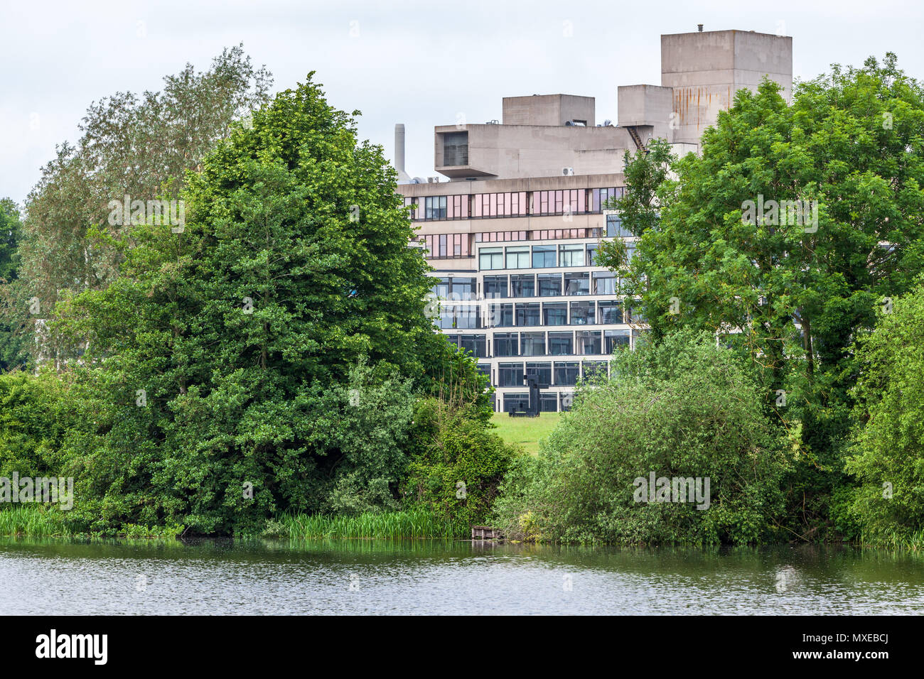 University east anglia lake uea hi-res stock photography and images - Alamy