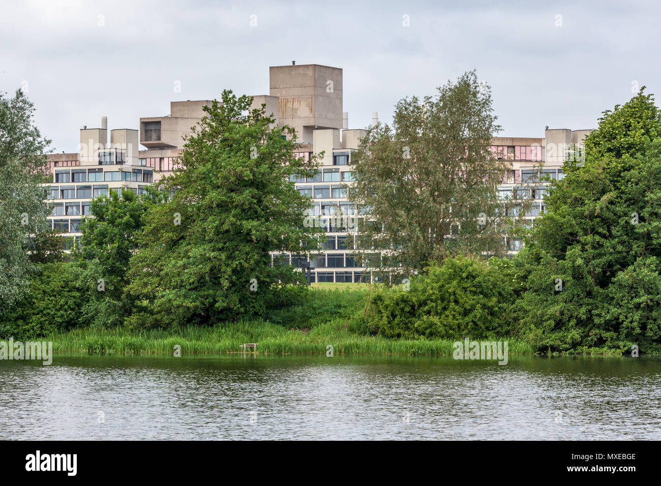 view of the lake and campus university of east anglia uea norwich Stock ...