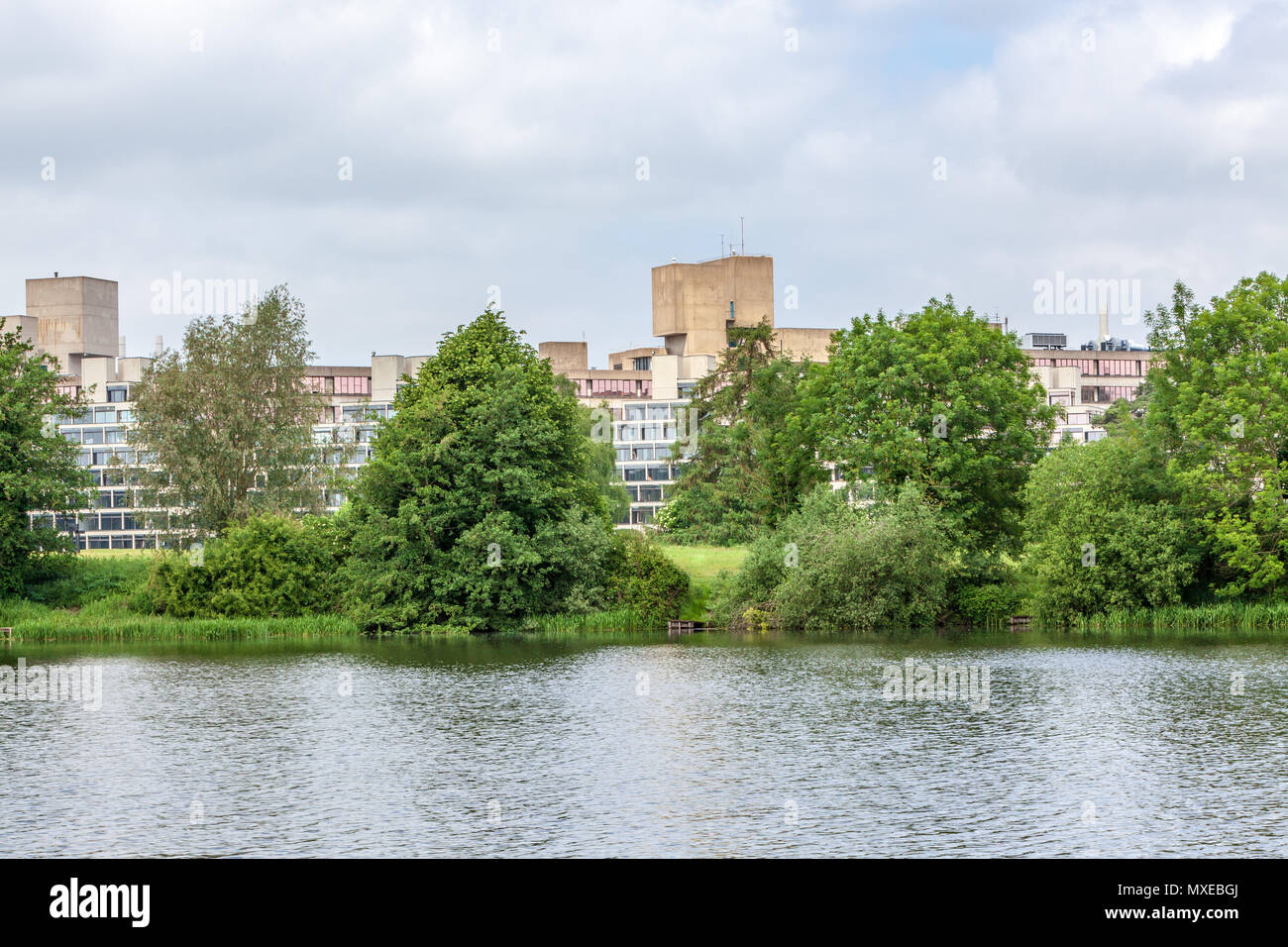 view of the lake and campus university of east anglia uea norwich Stock ...