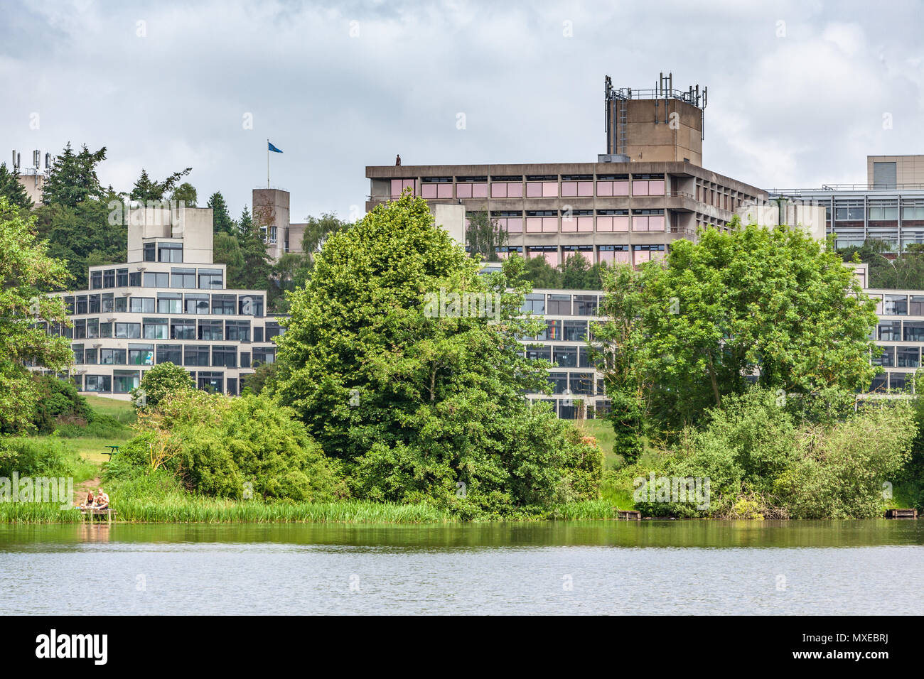 view of the lake and campus university of east anglia uea norwich Stock ...
