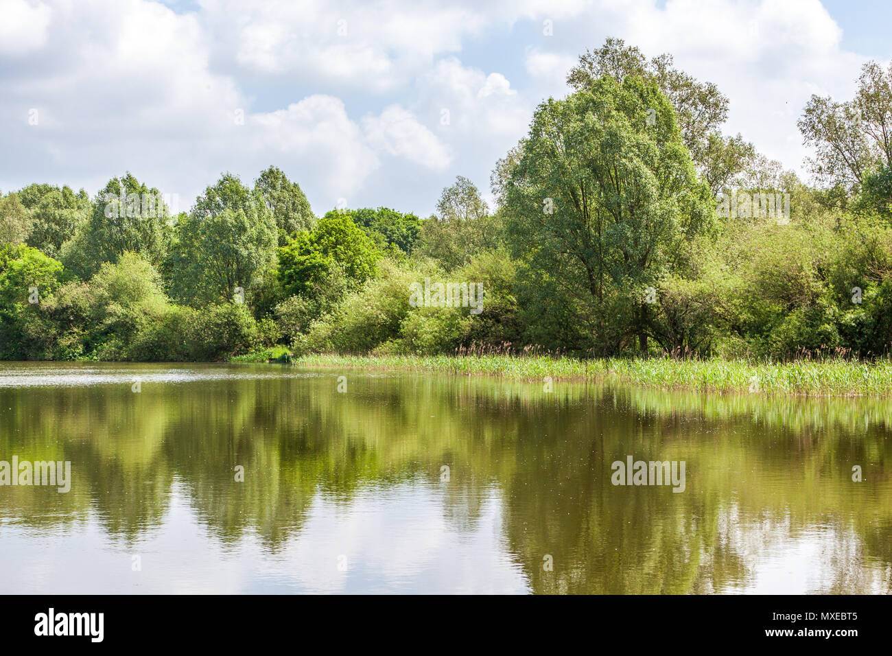 view of the lake and campus university of east anglia uea norwich Stock ...