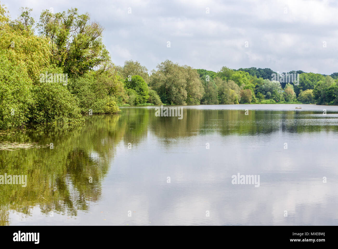 view of the lake and campus university of east anglia uea norwich Stock ...