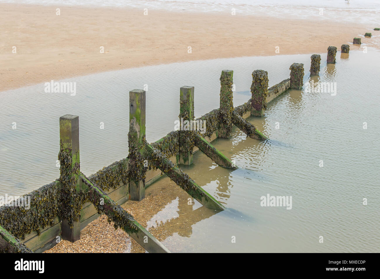 Side View of Wooden Fence and Posts on the Beach going into the Sea ...
