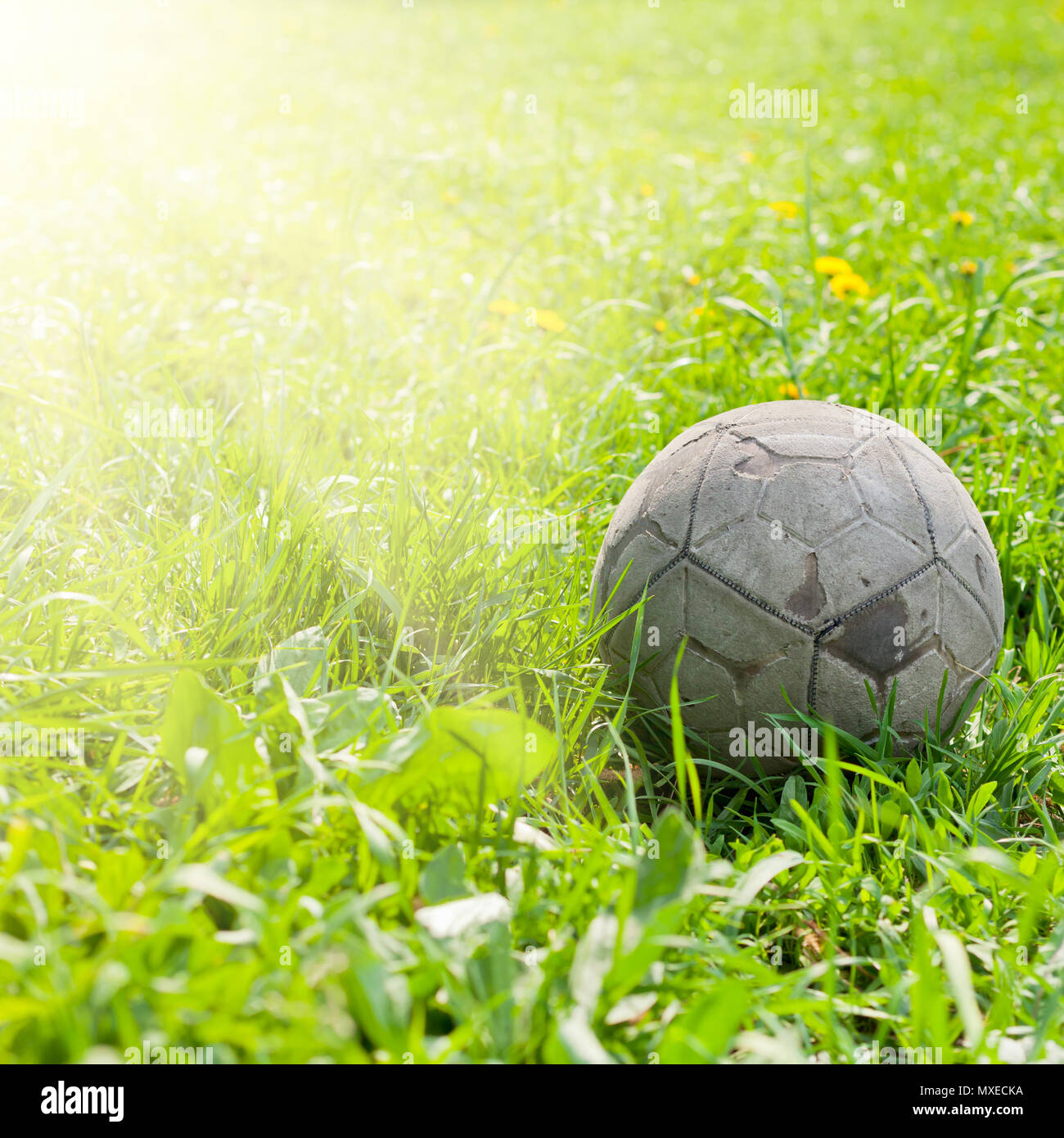 Old soccer ball forgotten in the green grass field. The football ...