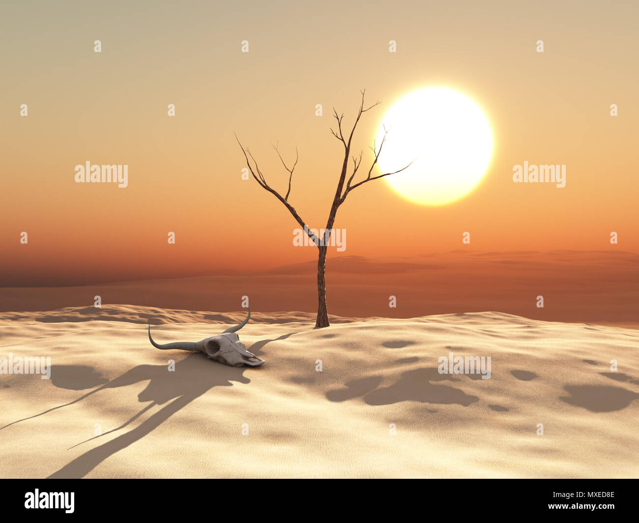 Drought desert hi-res stock photography and images - Alamy