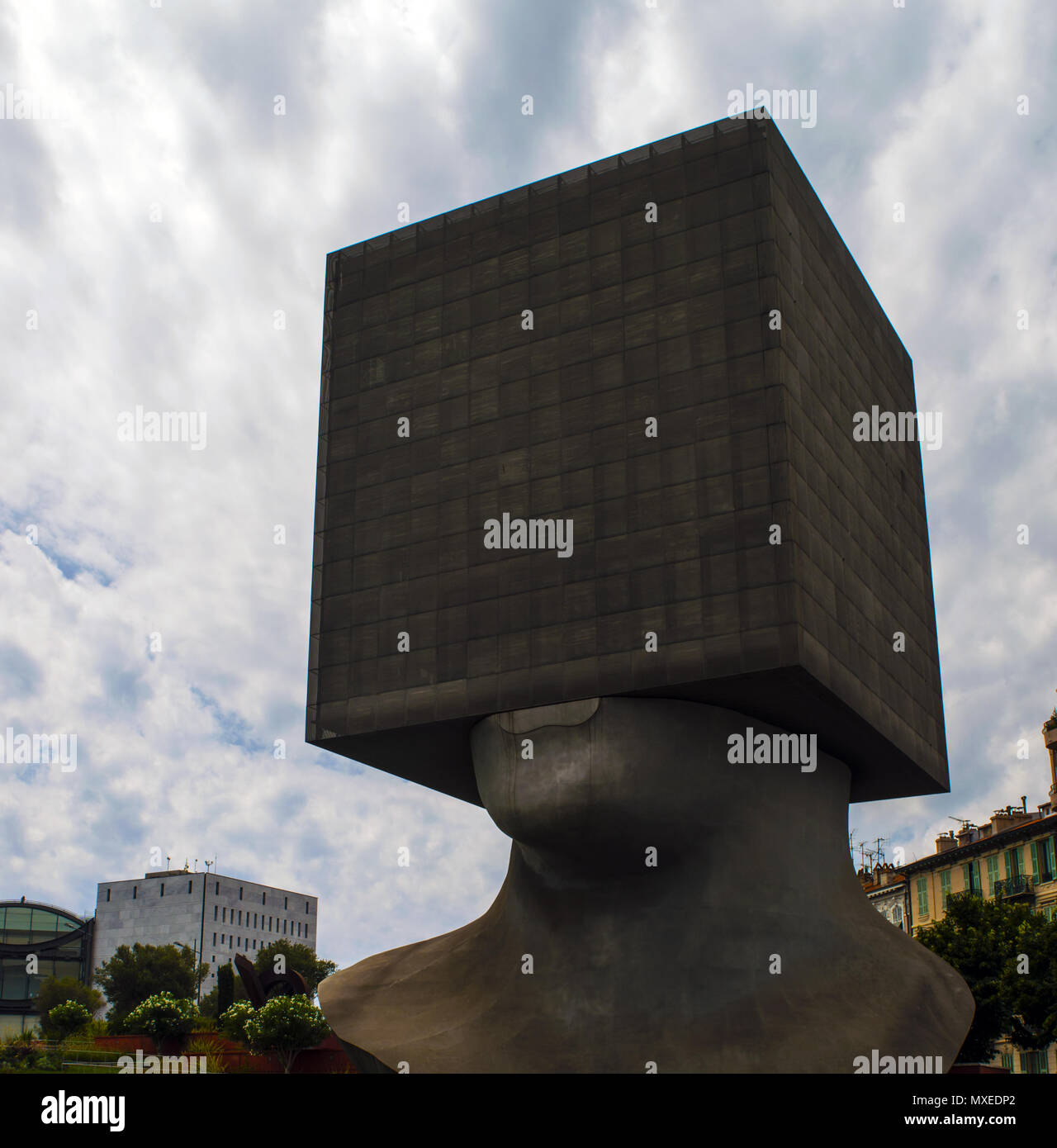 The squared head Stock Photo - Alamy