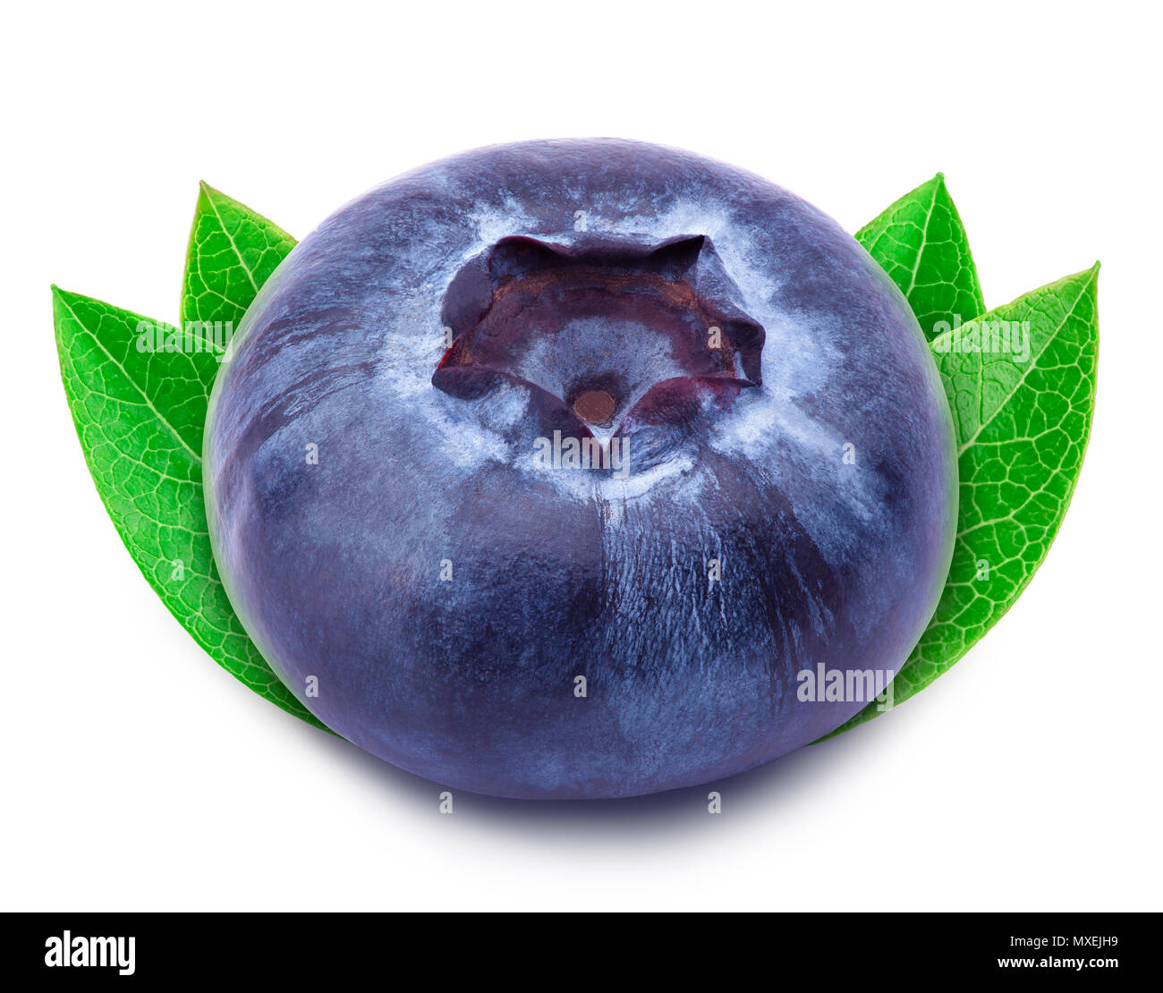 Blueberry blue hi-res stock photography and images - Alamy