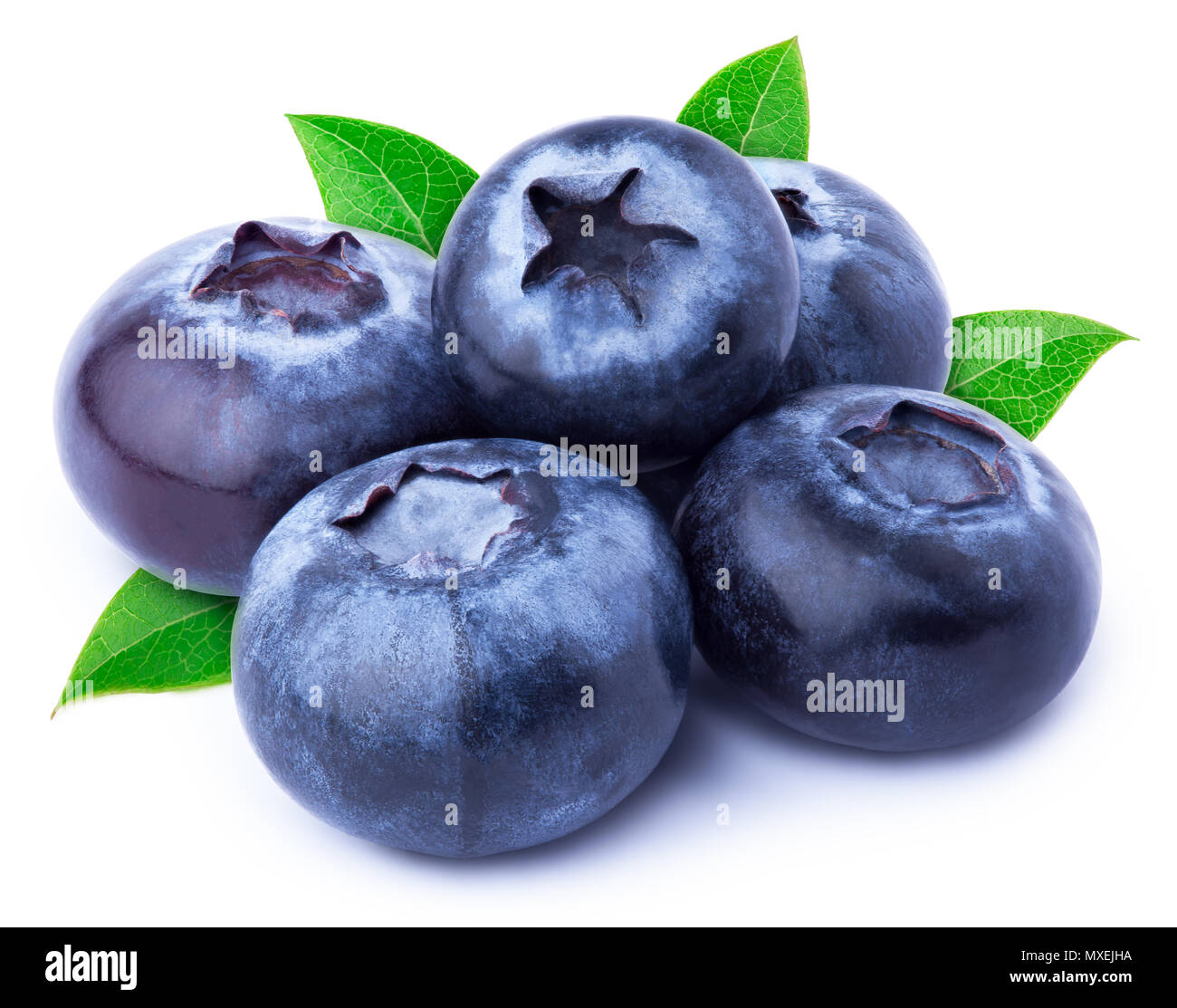 Five blueberries with leaves isolated Stock Photo - Alamy