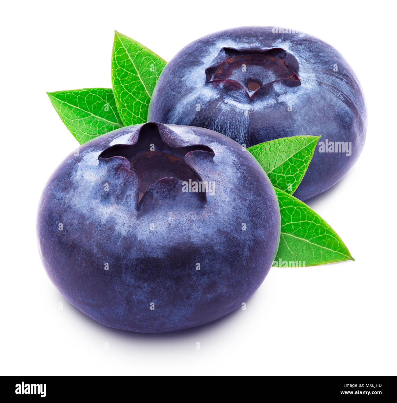 Two blueberries with leaves isolated Stock Photo - Alamy