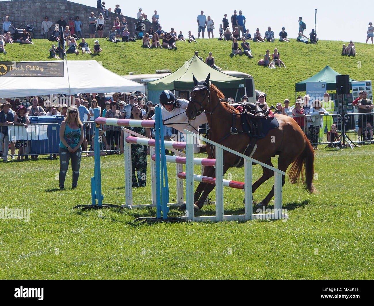 A rider falls from her horse during a showjumping event Stock Photo - Alamy