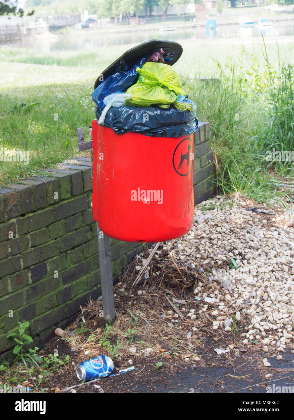 A red overflowing dog waste bin Stock Photo - Alamy