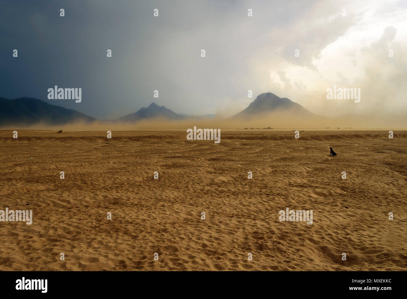 Reserve bank of india hi-res stock photography and images - Alamy