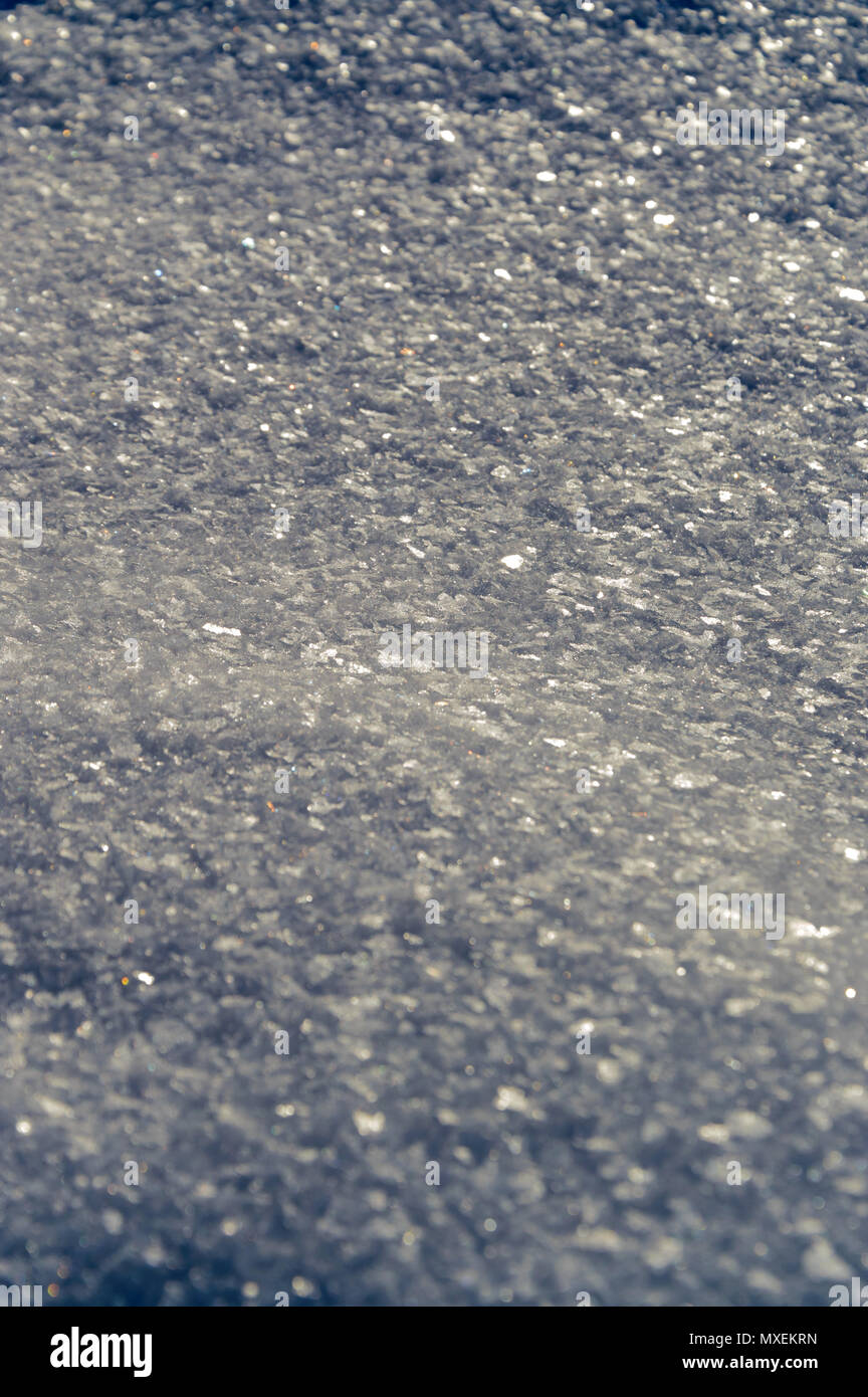Sparkling snow flakes in winter sun Stock Photo - Alamy
