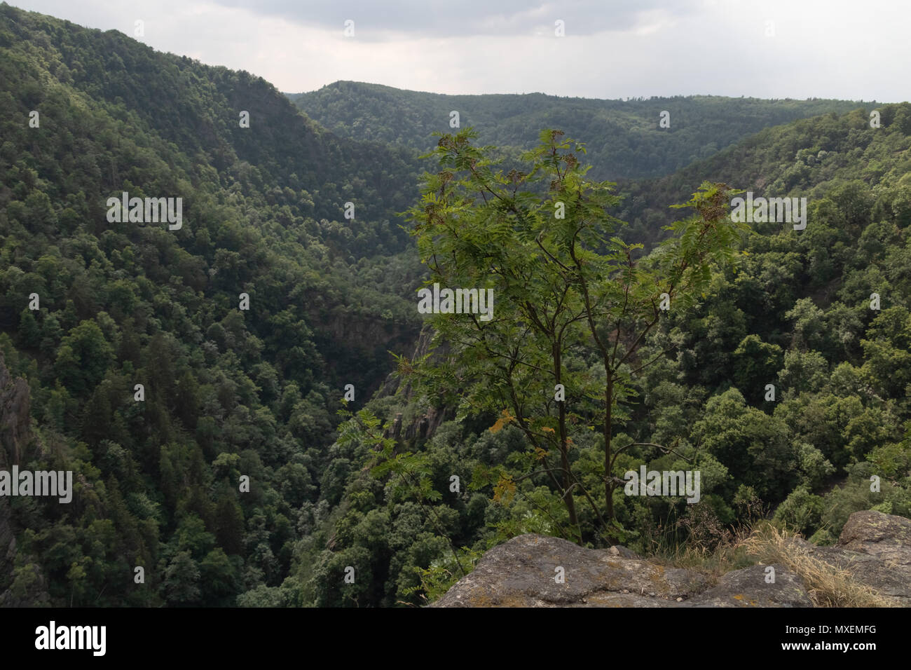 Germany harz mountains thale witch hi-res stock photography and images ...