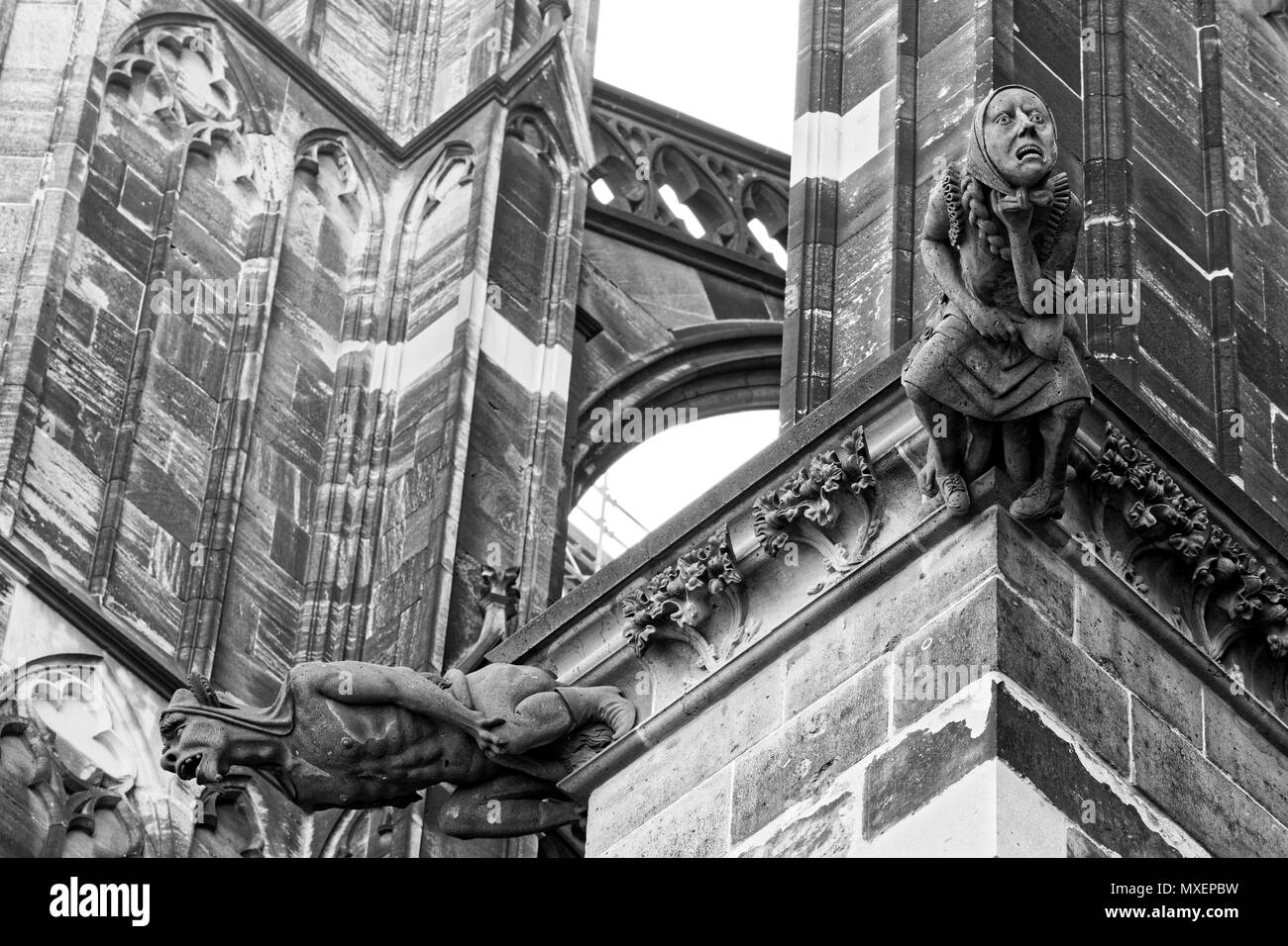 Cathedral gargoyle germany hi-res stock photography and images - Alamy