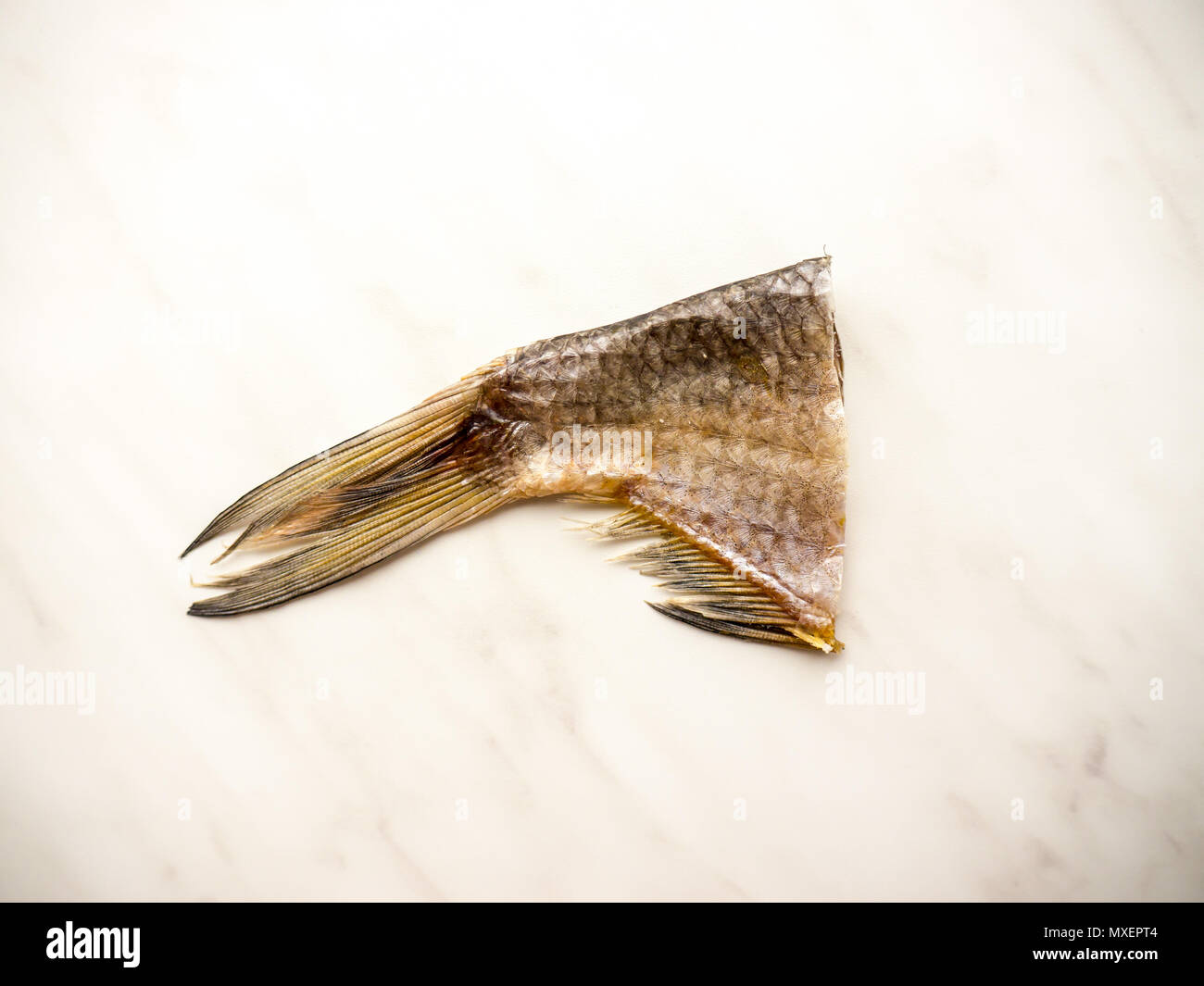 The Dried Fish on a color background Stock Photo - Alamy
