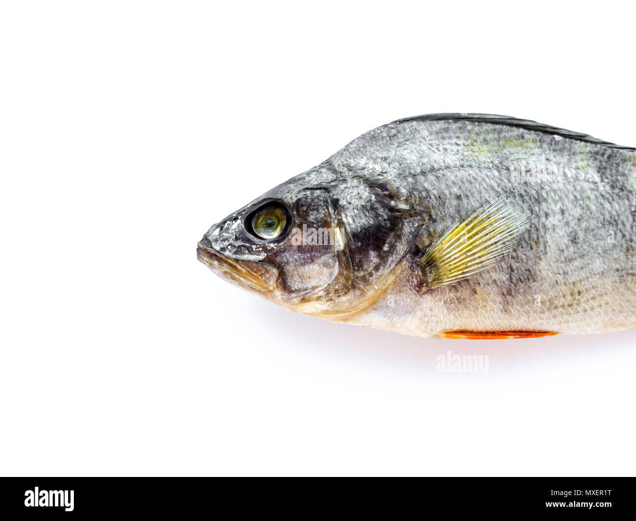 The Dried Fish on a color background Stock Photo - Alamy