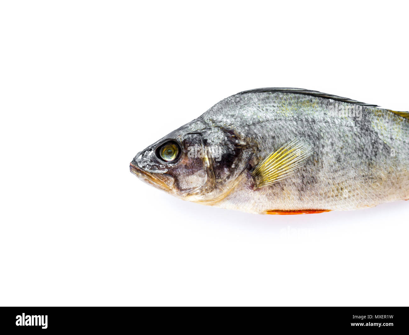 The Dried Fish on a color background Stock Photo - Alamy