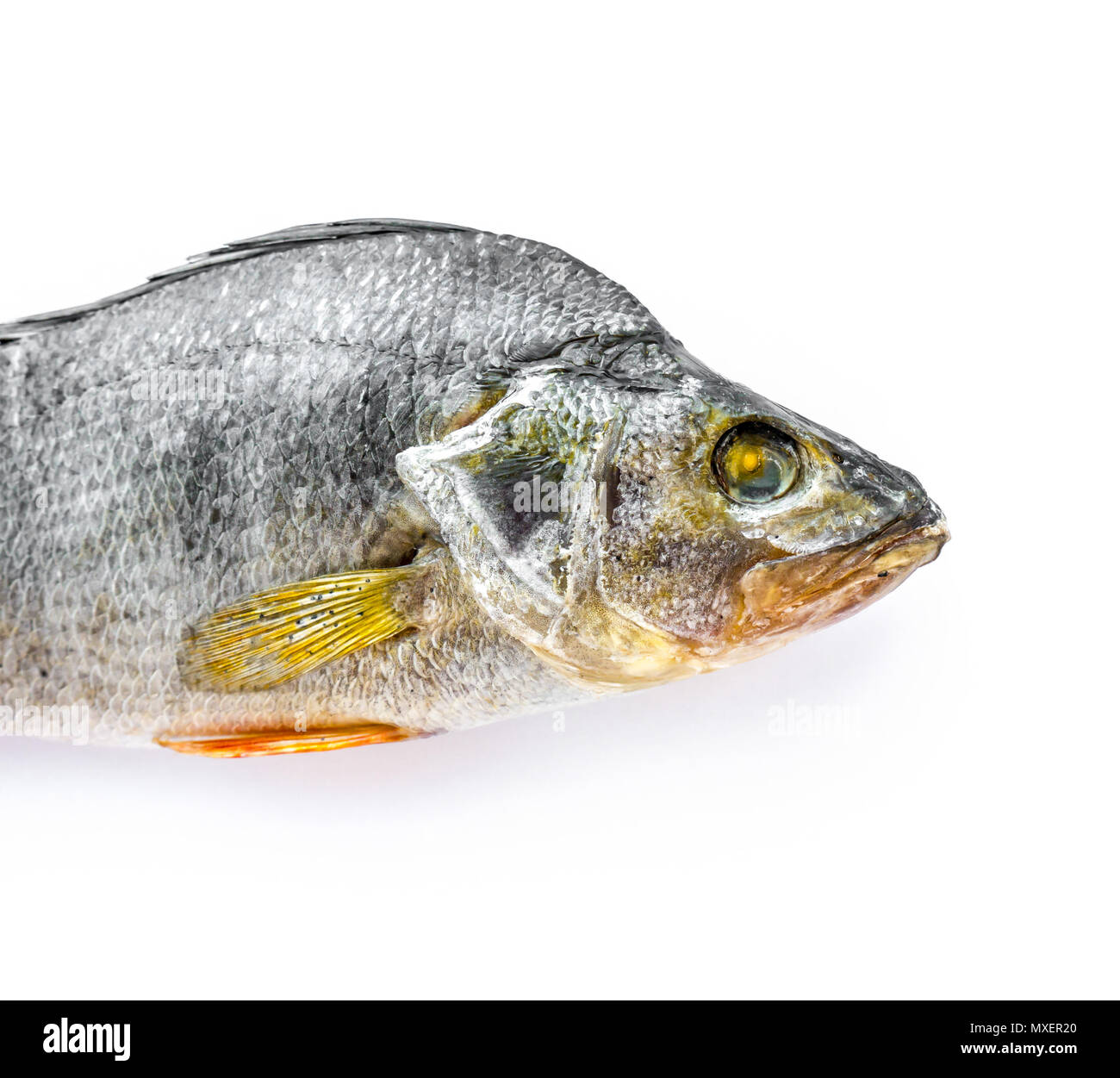 The Dried Fish on a color background Stock Photo - Alamy