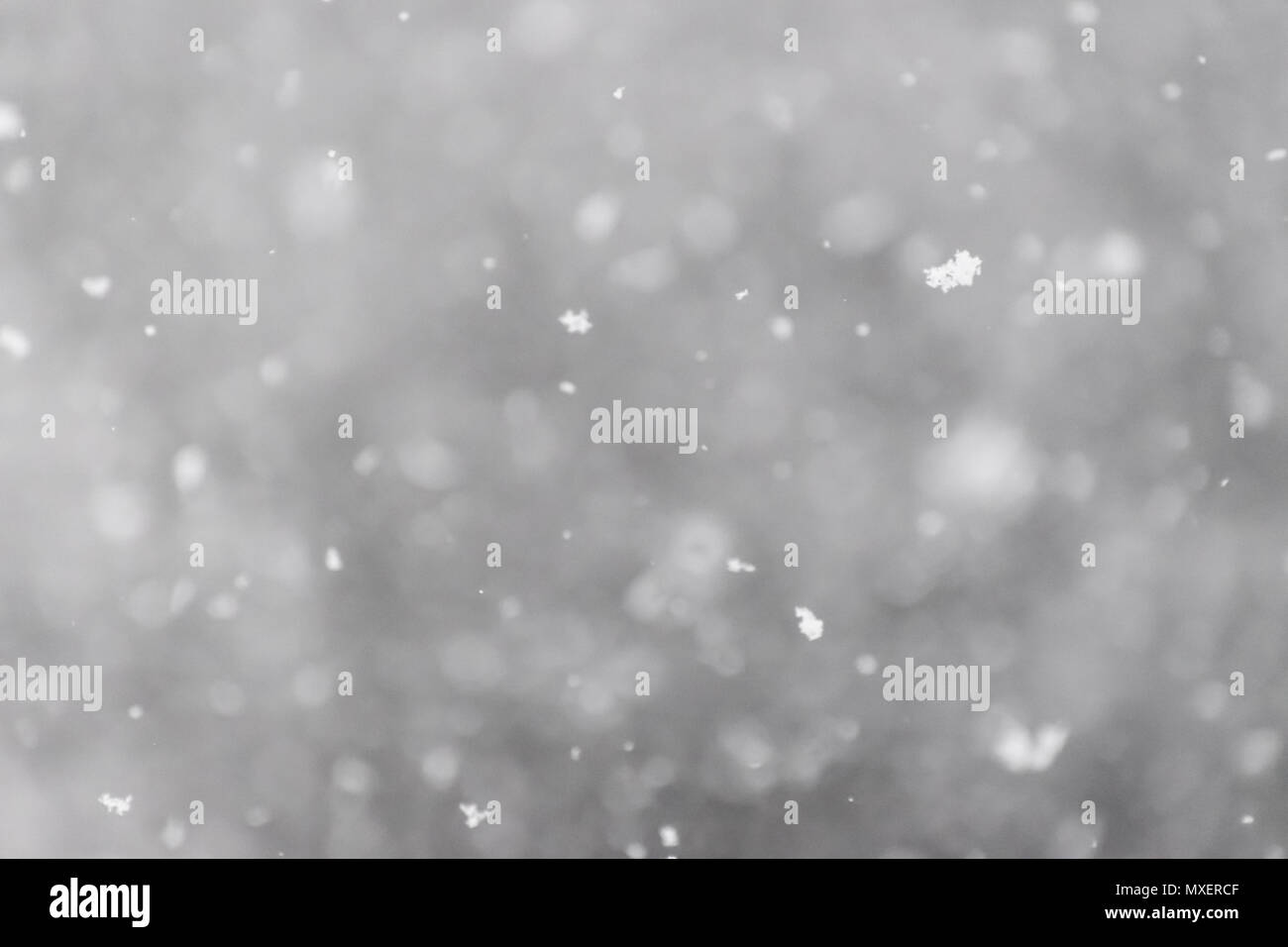 Falling snow snowflakes winter cold freezing Stock Photo - Alamy