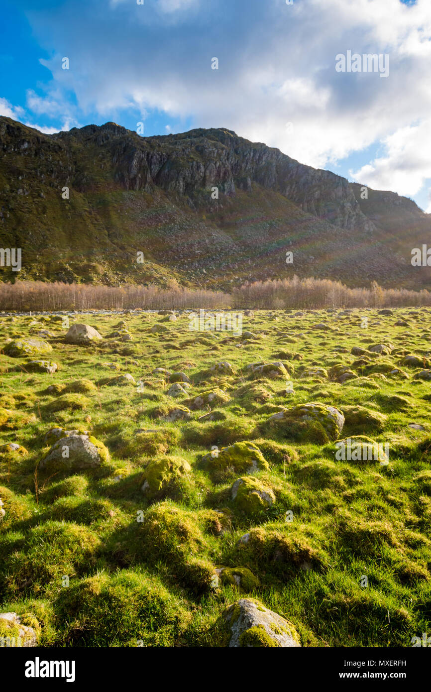 Moss covered rocks at sunset hi-res stock photography and images - Alamy