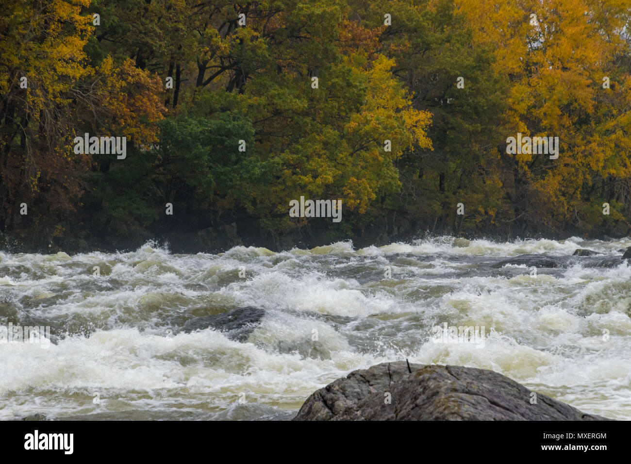 Landscape rapid river fallen tree hi-res stock photography and images ...