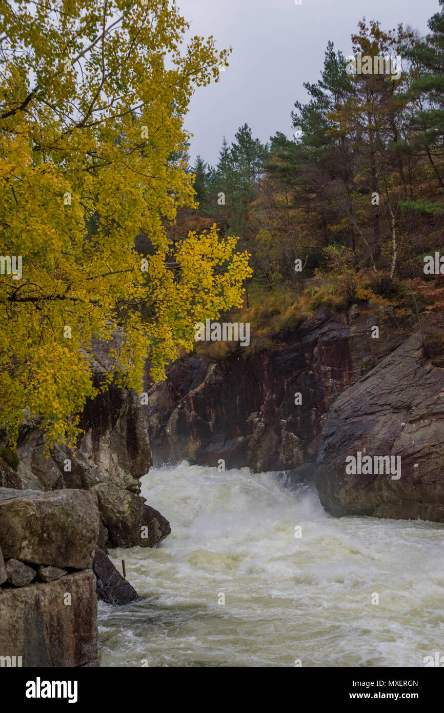 Rapid stream river yellow tree waterfall Stock Photo - Alamy