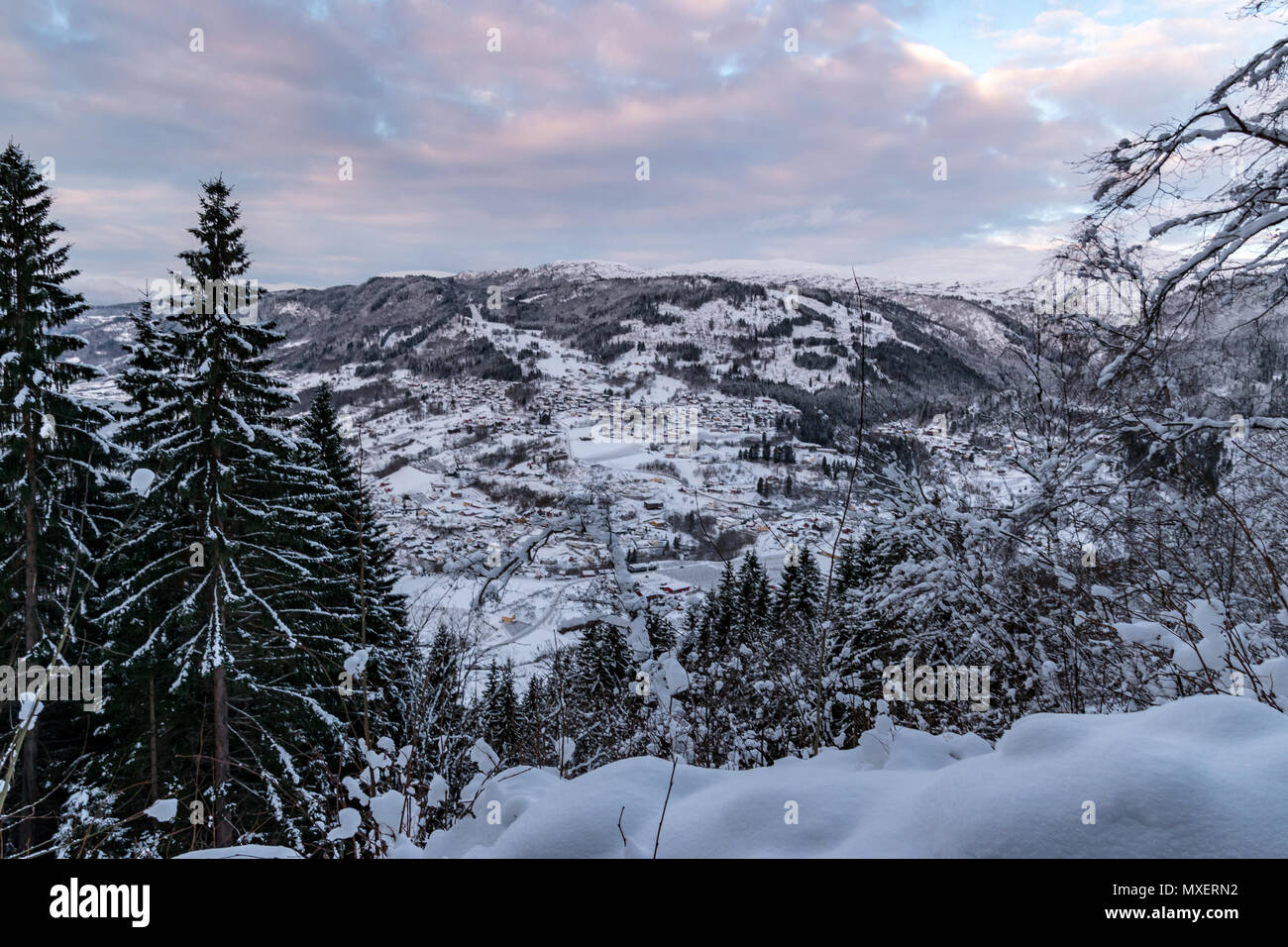 Winter forest in ural mountains hi-res stock photography and images - Alamy