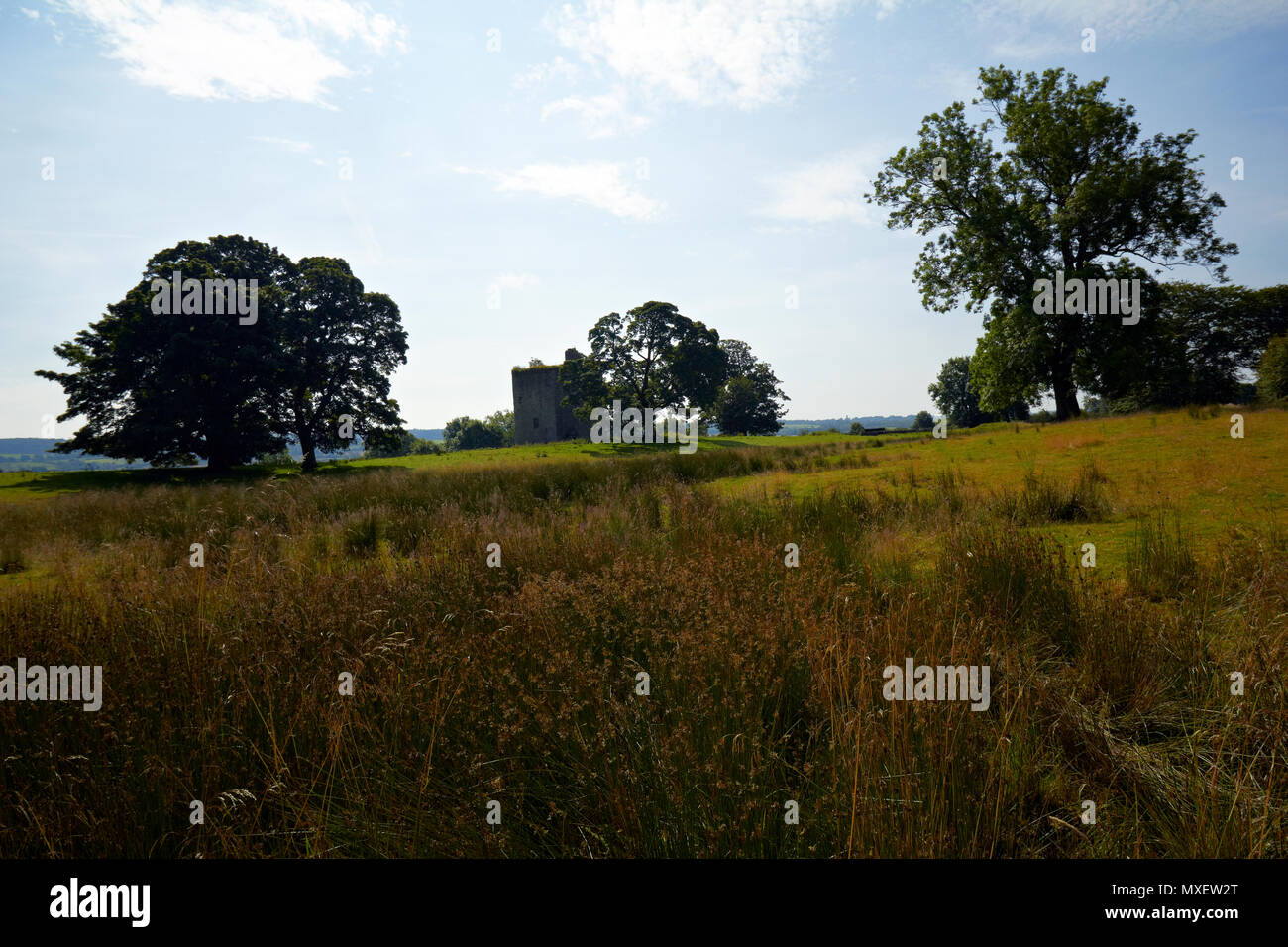 Loch calder hi-res stock photography and images - Alamy
