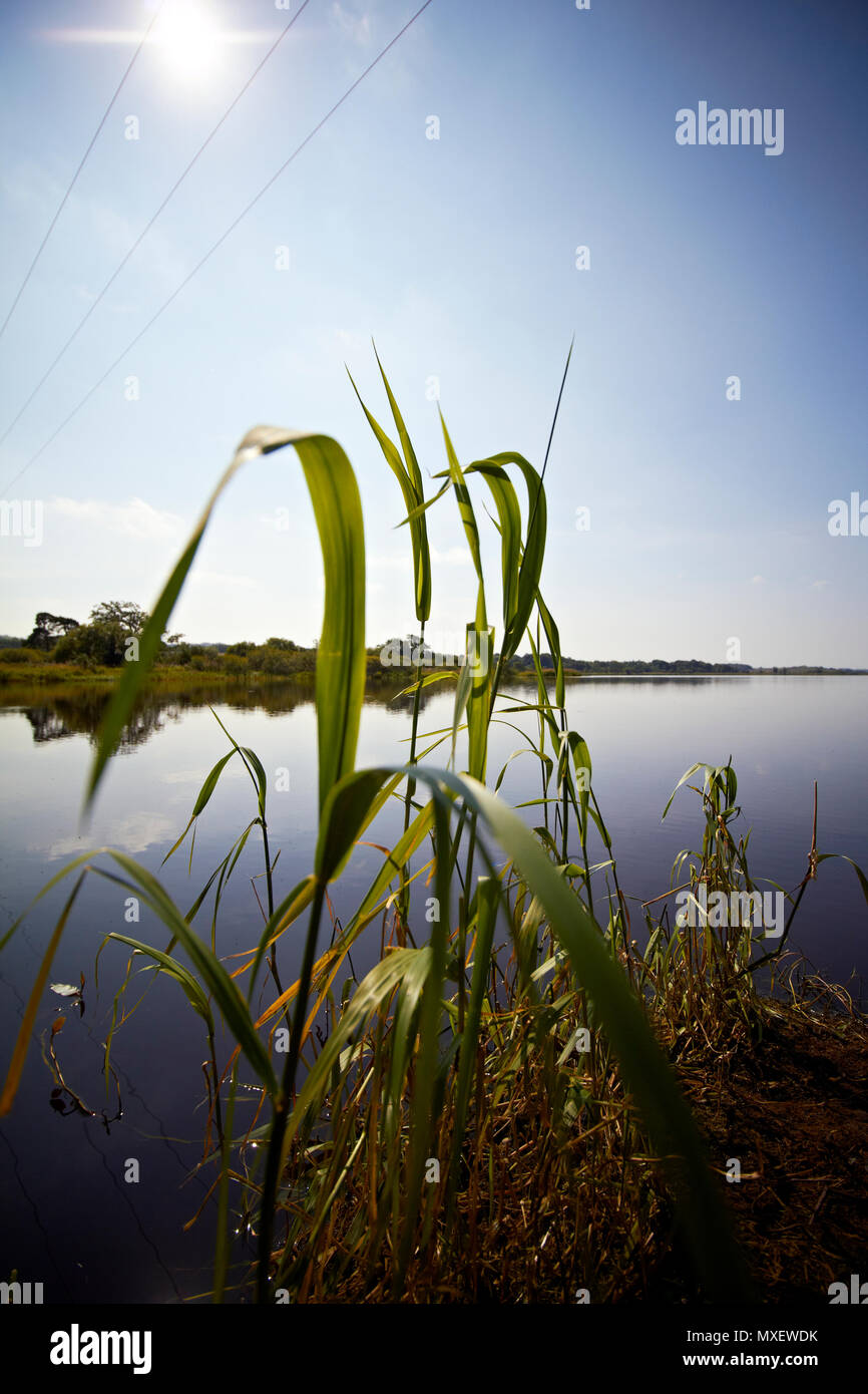 Loch calder hi-res stock photography and images - Alamy
