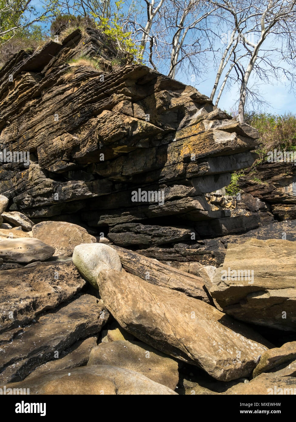 Fallen rock slabs, rock fall, Glasnakille sea cliffs, Isle of Skye ...