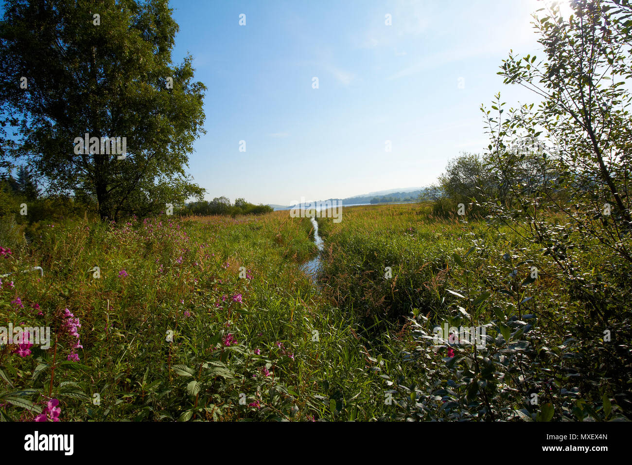 Loch calder hi-res stock photography and images - Alamy