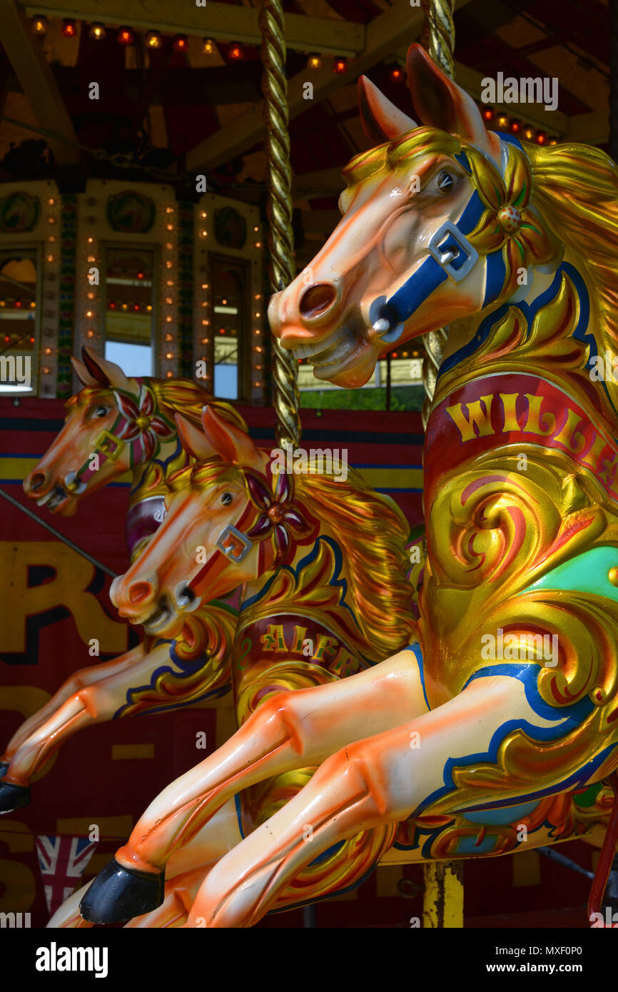 Round up ride hi-res stock photography and images - Alamy