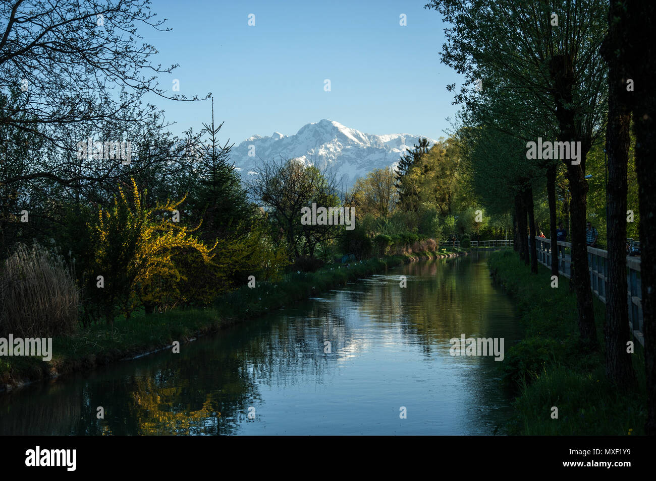 Alm spring hi-res stock photography and images - Alamy