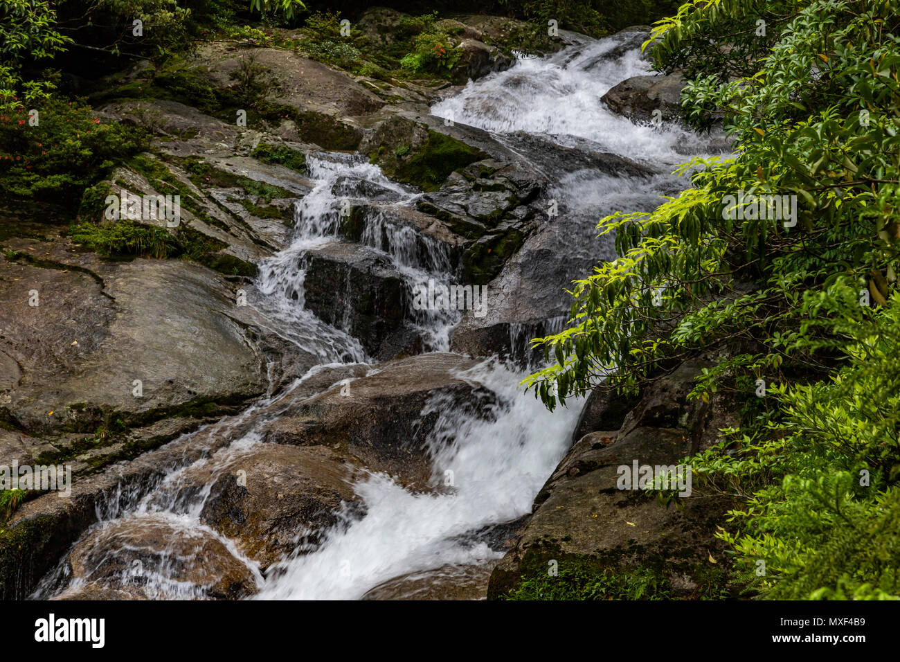 The Shiratani Unsuikyo Ravine is a lush nature park containing many of ...