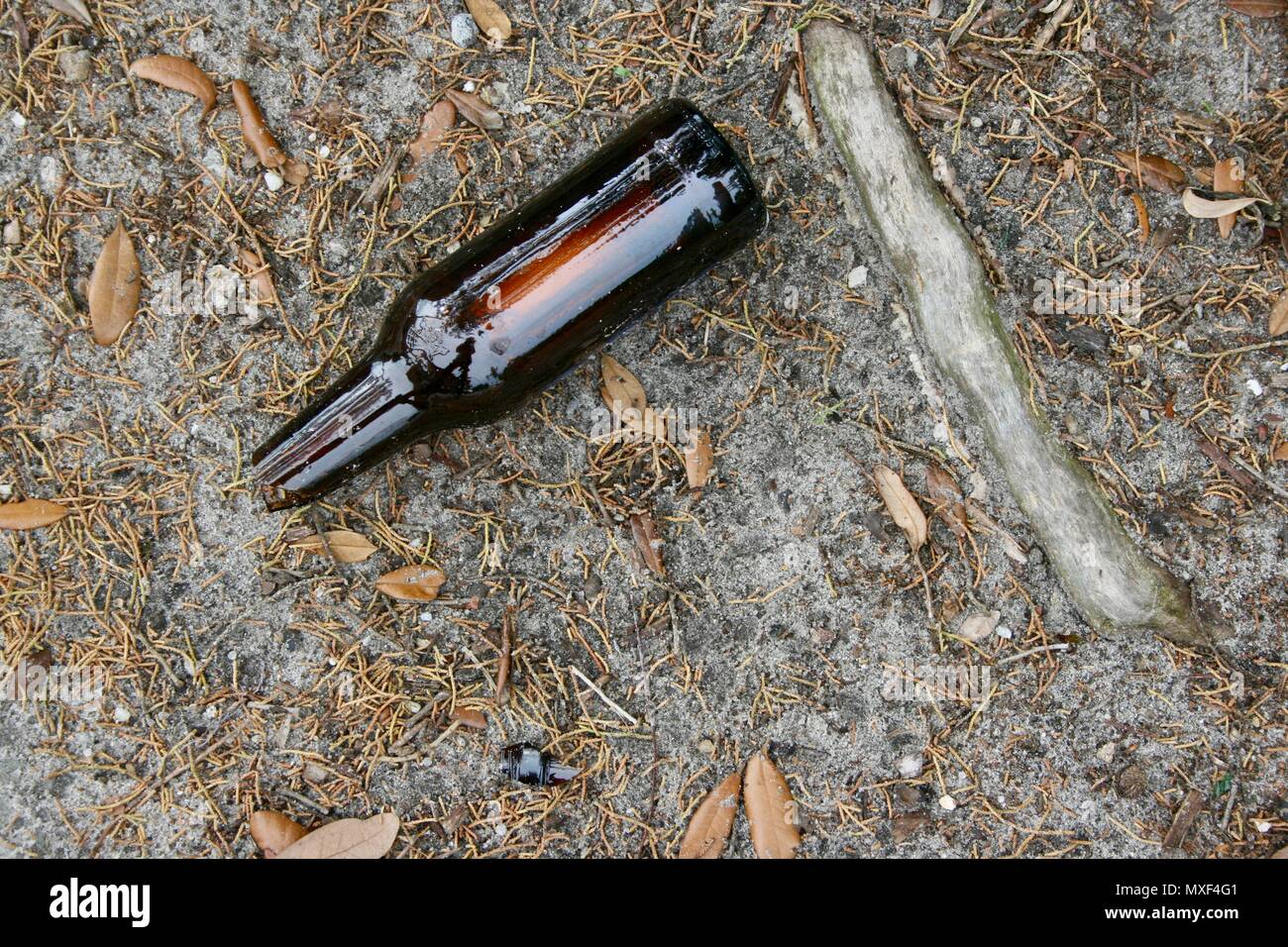 Broken glass beer bottle on a sidewalk Stock Photo - Alamy