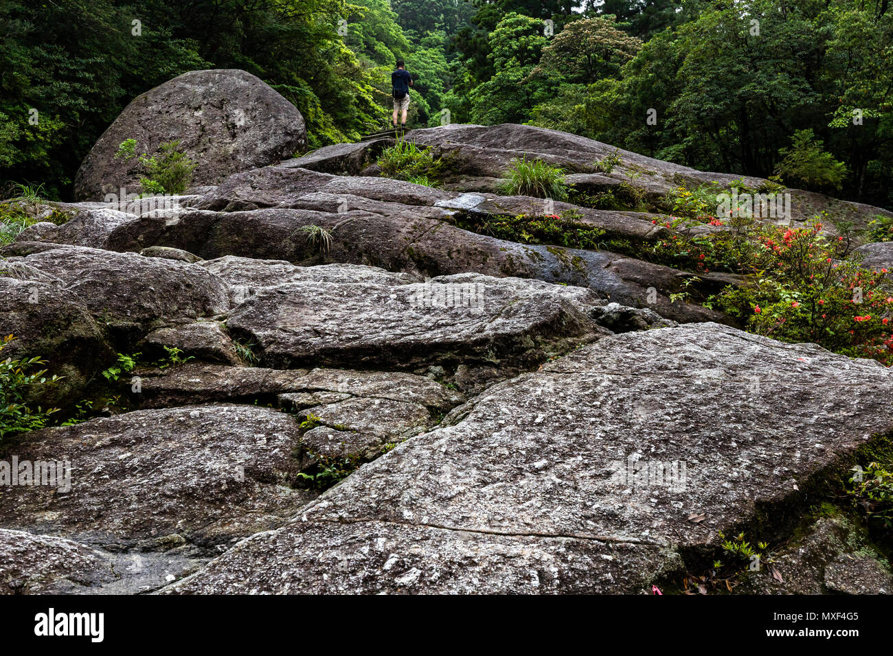 The Shiratani Unsuikyo Ravine is a lush nature park containing many of ...