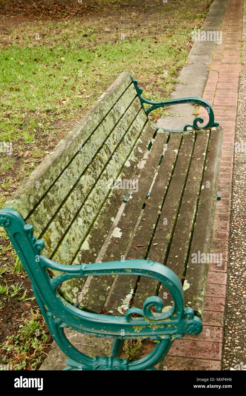 Park bench filled with end of the season mold Stock Photo - Alamy