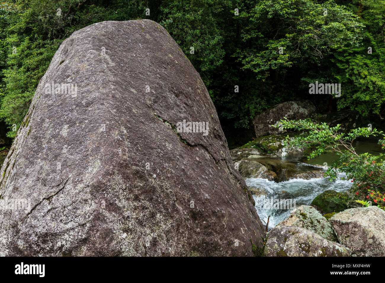 The Shiratani Unsuikyo Ravine is a lush nature park containing many of ...