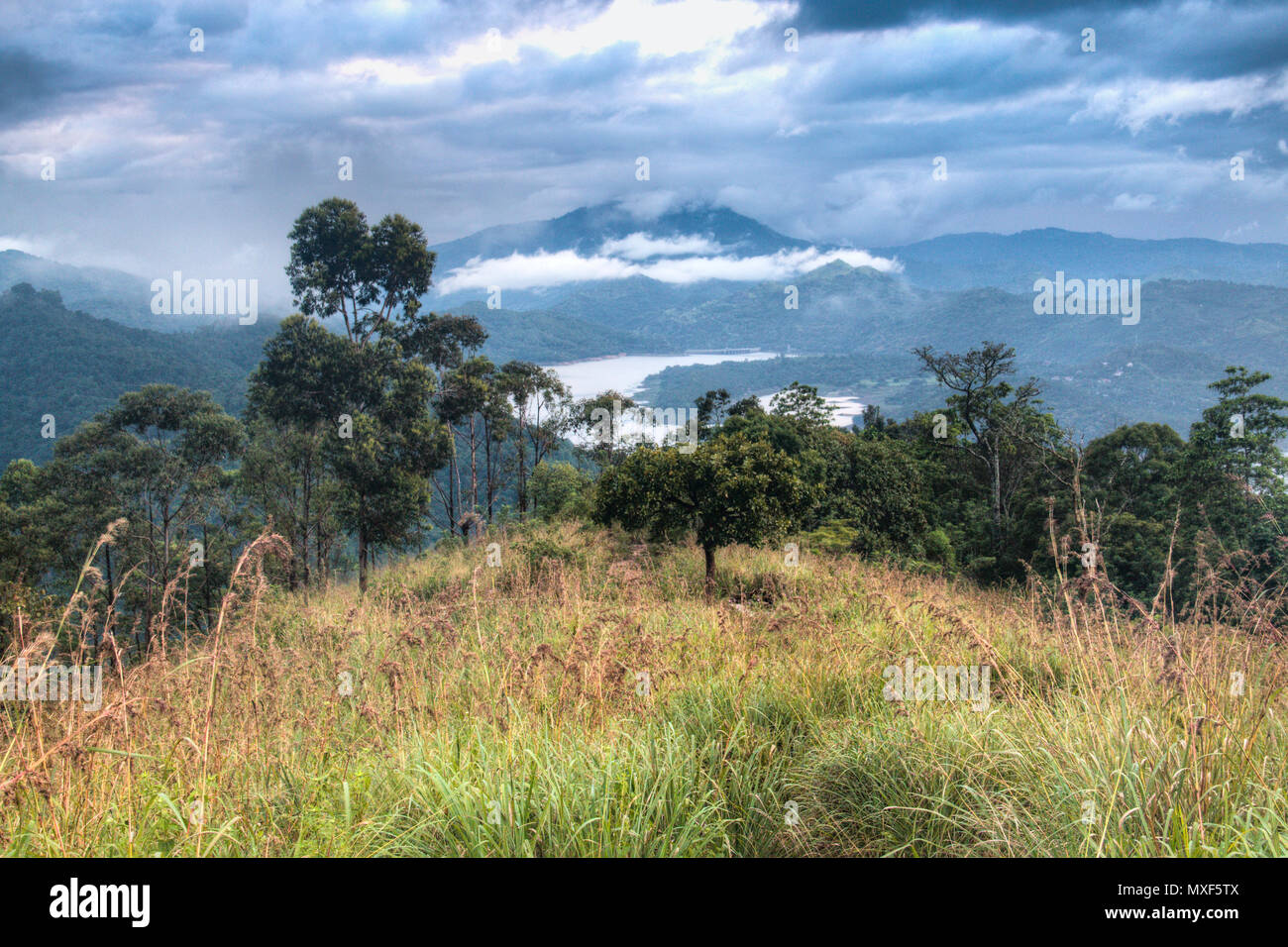 The area of the Knuckles mountains around Kandy in Sri Lanka provide ...