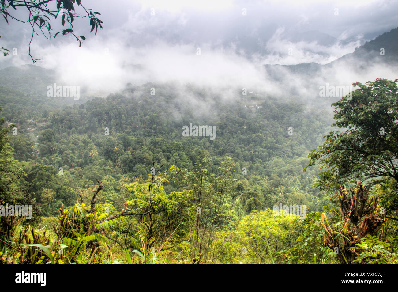 The area of the Knuckles mountains around Kandy in Sri Lanka provide ...